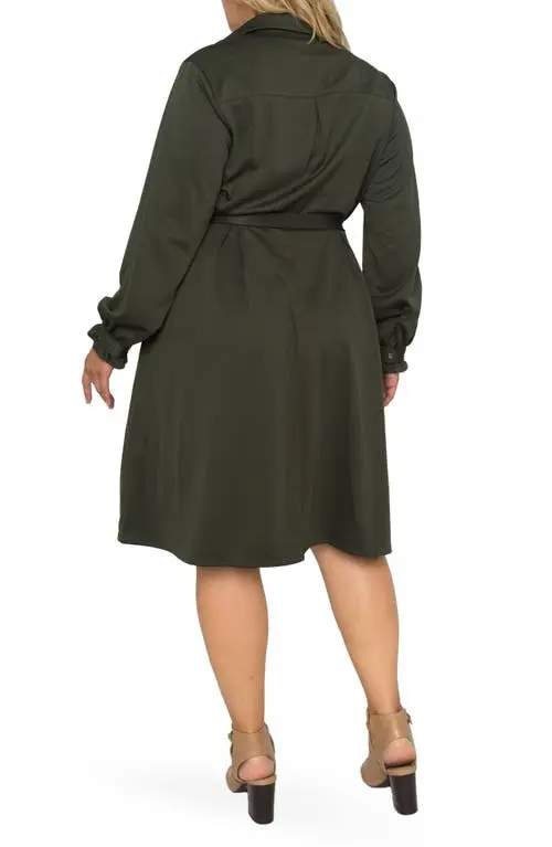STANDARDS & PRACTICES Utility Shirtdress