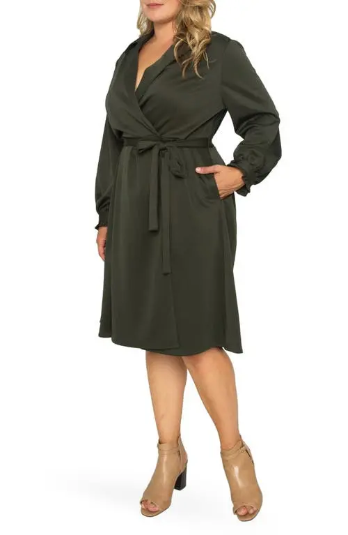 STANDARDS & PRACTICES Utility Shirtdress