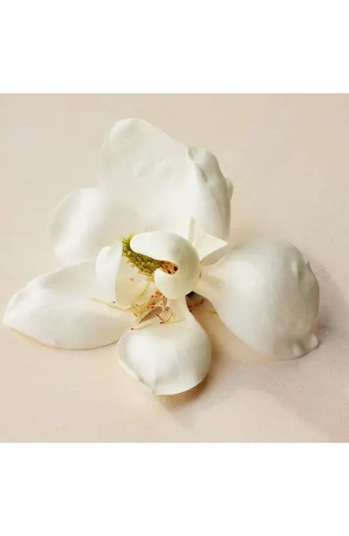 Chloé Atelier Des Fleurs Magnolia Alba Eau De Parfum