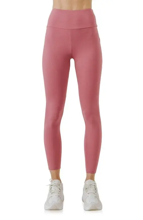 GREY LAB Leggings - Cassis