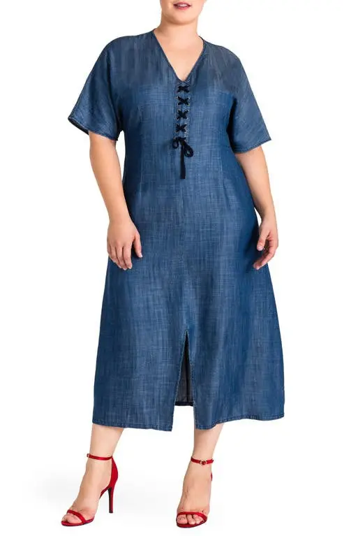 STANDARDS & PRACTICES Meme Chambray Midi Dress