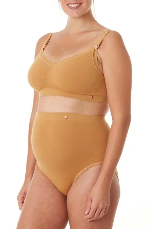 CACHE COEUR High Waist Maternity Briefs - Cumin