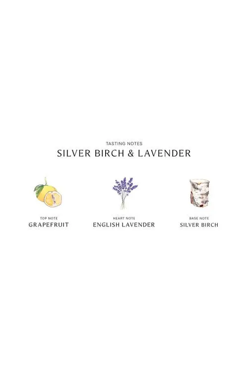 JO MALONE LONDON™ Silver Birch & Lavender Cologne