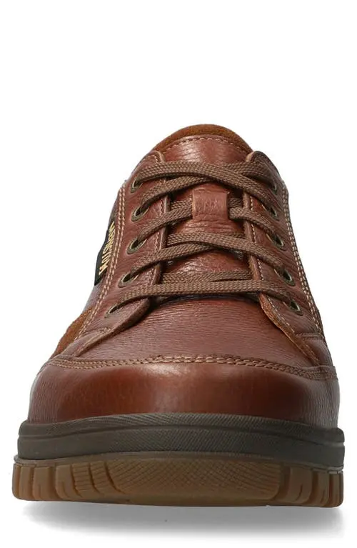 Mephisto Paco Waterproof Walking Sneaker - Hazelnut