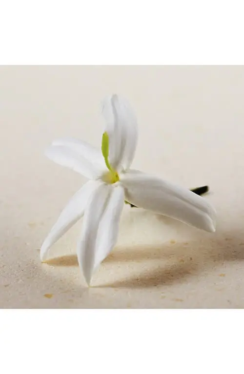 Chloé Atelier Des Fleurs Jasminum Sambac Eau De Parfum