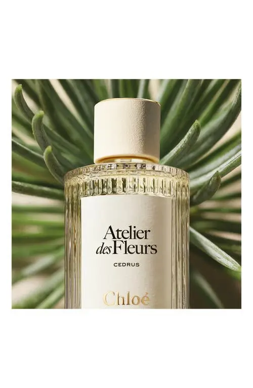Chloé Atelier Des Fleurs Cedrus Eau De Parfum - No Color