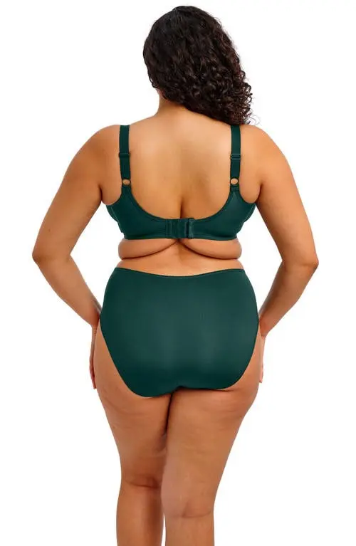 Elomi Smooth Underwire Bra - Deep Emerald