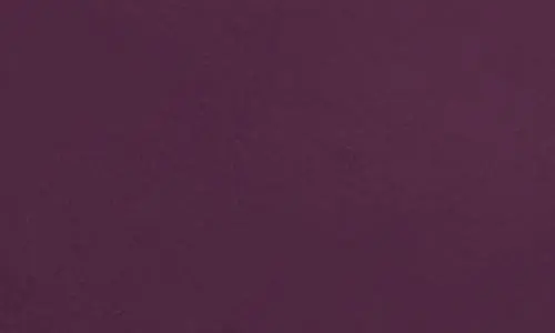 Chantelle Every Curve High Waist Briefs - Aubergine Shades