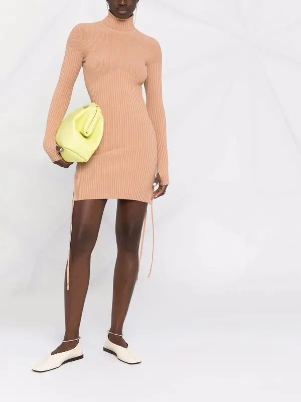 ANDREĀDAMO Roll-neck Ribbed Knit Dress