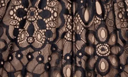 Dress The Population Melina Lace Sleeveless Gown