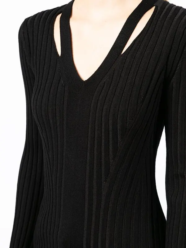 Proenza Schouler White Label Merino Rib Knit V-neck Jumper