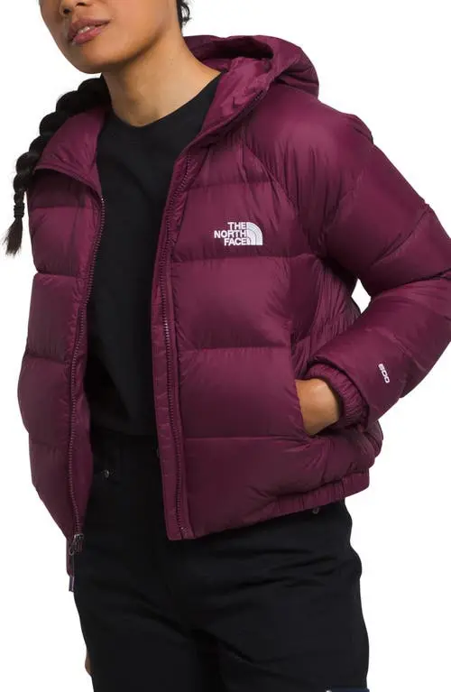 The North Face Hydrenalite Hooded Down Jacket - Boysenberry