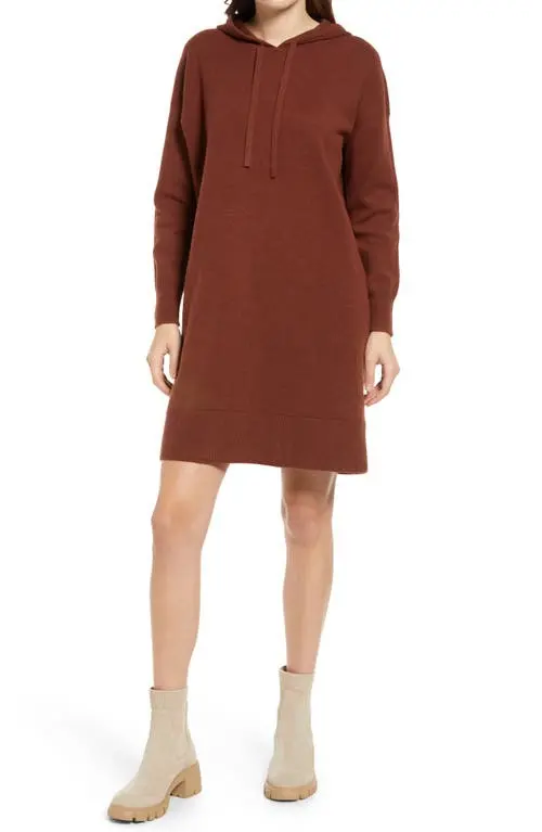 Madewell Long Sleeve Hoodie Sweater Dress