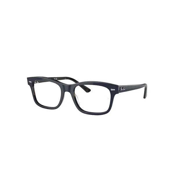 Ray-ban Burbank Optics Eyeglasses - Blue On Havana
