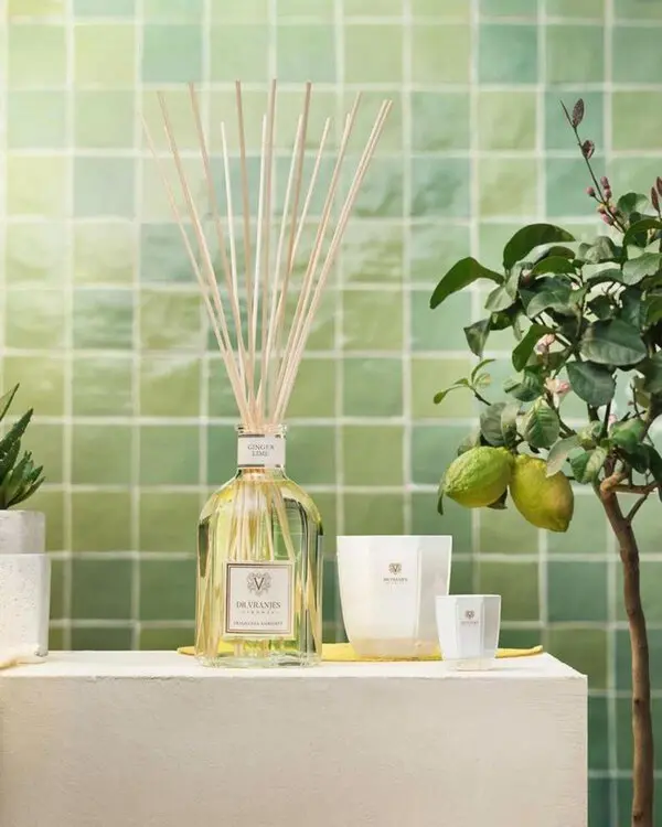 DR. VRANJES FIRENZE Ginger Lime Glass Bottle Home Fragrance - One-color
