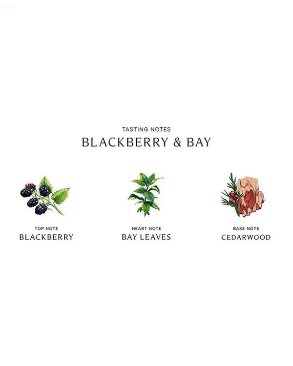 Jo Malone Blackberry & Bay Body Creme, 175 Ml - One-color