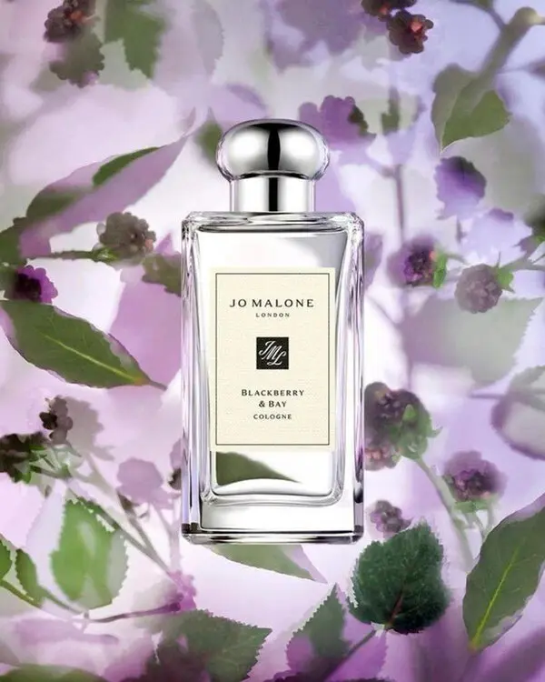 Jo Malone Blackberry & Bay Cologne - One-color
