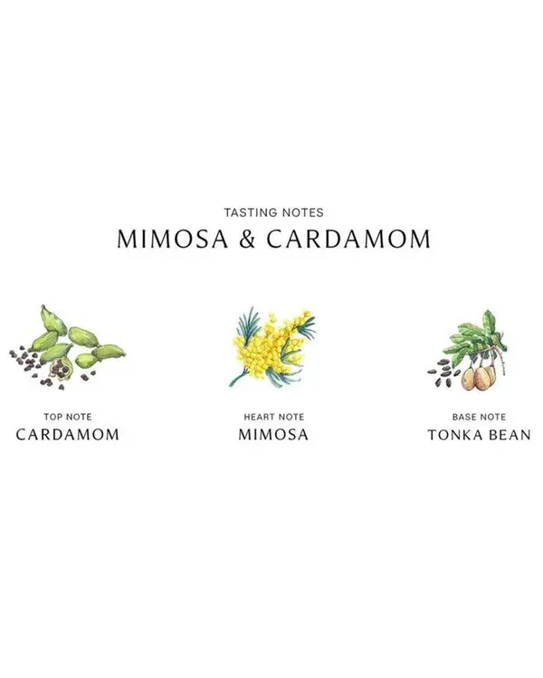 Jo Malone Mimosa & Cardamom Cologne