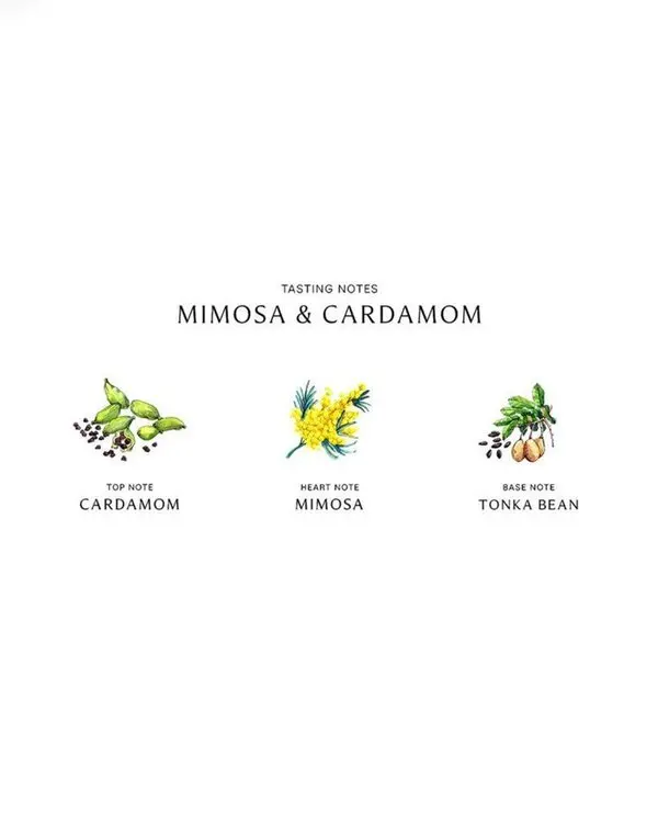 Jo Malone 5.9 Oz. Mimosa & Cardamom Body Creme - One-color