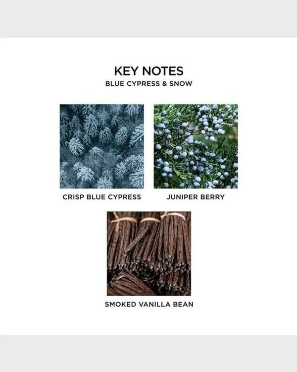 NEST NEW YORK Blue Cypress & Snow Classic Candle, 8 Oz