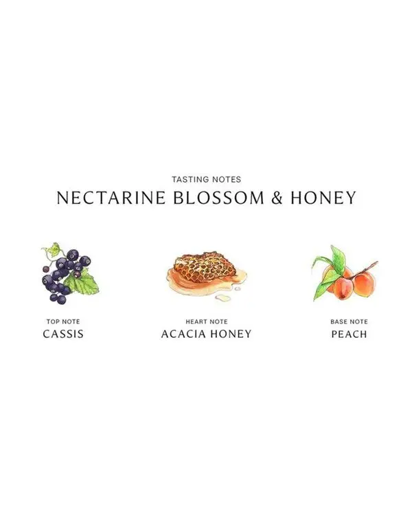 Jo Malone Nectarine Blossom & Honey Cologne