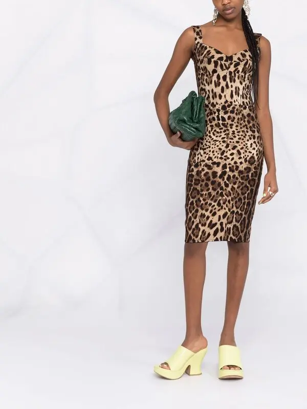 Dolce & Gabbana Leopard-print Corset Midi Dress - Neutrals