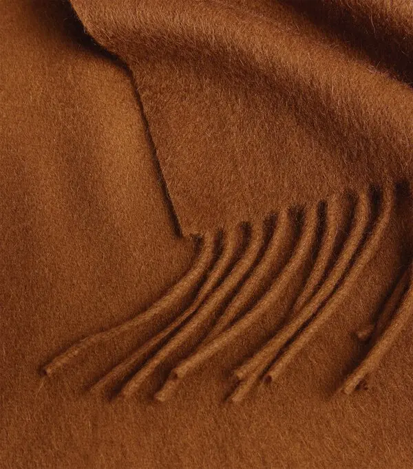 Max Mara Cashmere Fringed Scarf - Brown