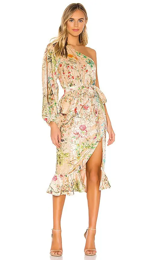 Hemant & Nandita Veena Burnout Velvet Dress