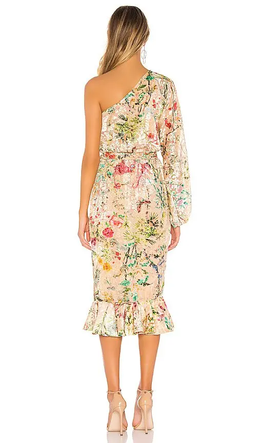 Hemant & Nandita Veena Burnout Velvet Dress