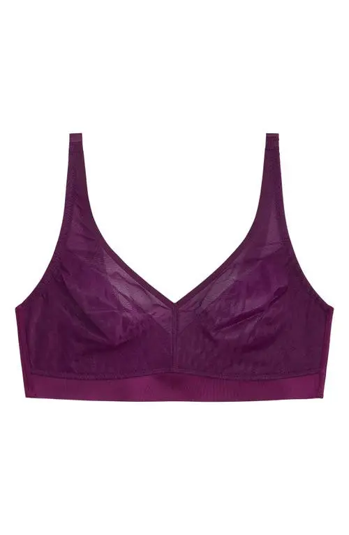 Wacoal Elevated Allure Wireless Bra - Winter Bloom