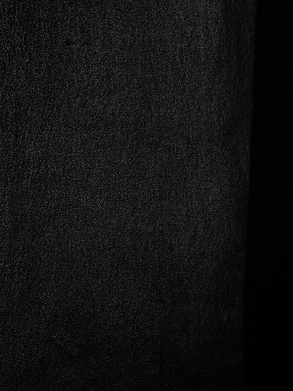 Akris Fancy Leather Pants