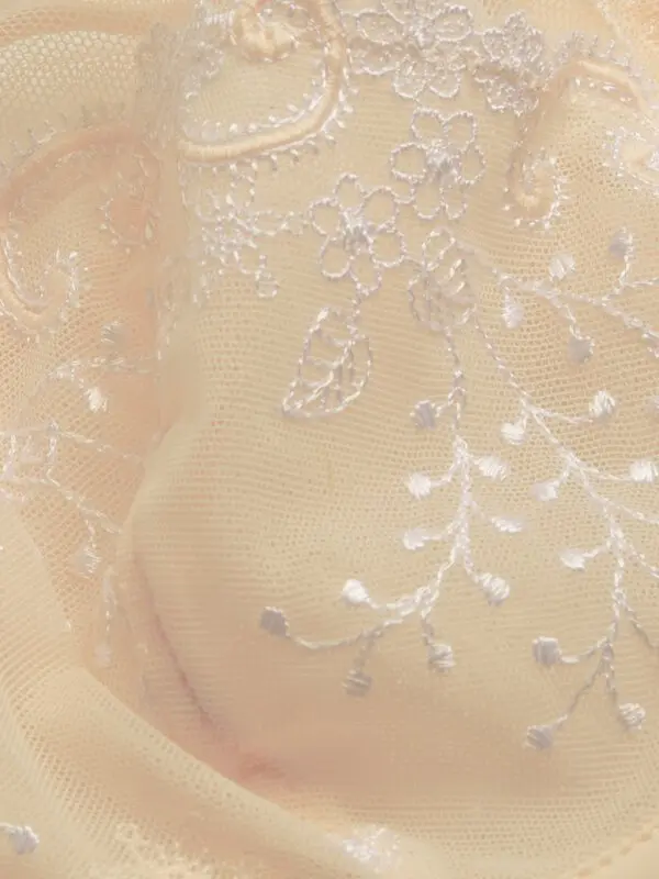 Simone Perele Delice Sheer Plunge Bra - Blush