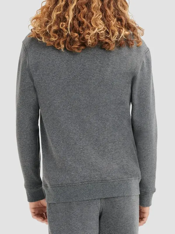 UGG Zeke Quarter-zip Sweater