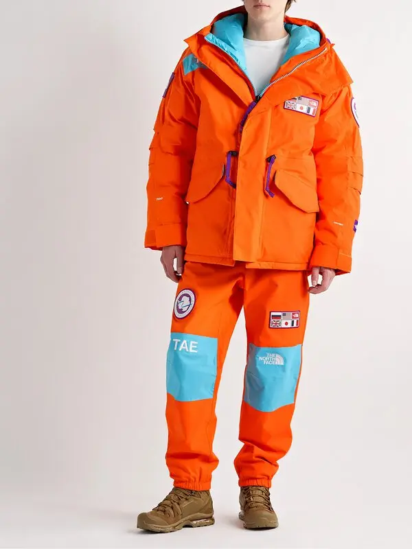 The North Face Trans-Antarctica Expedition Dryvent Hooded Down