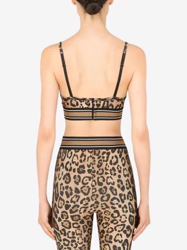 Dolce & Gabbana Leopard-print Bralette Top