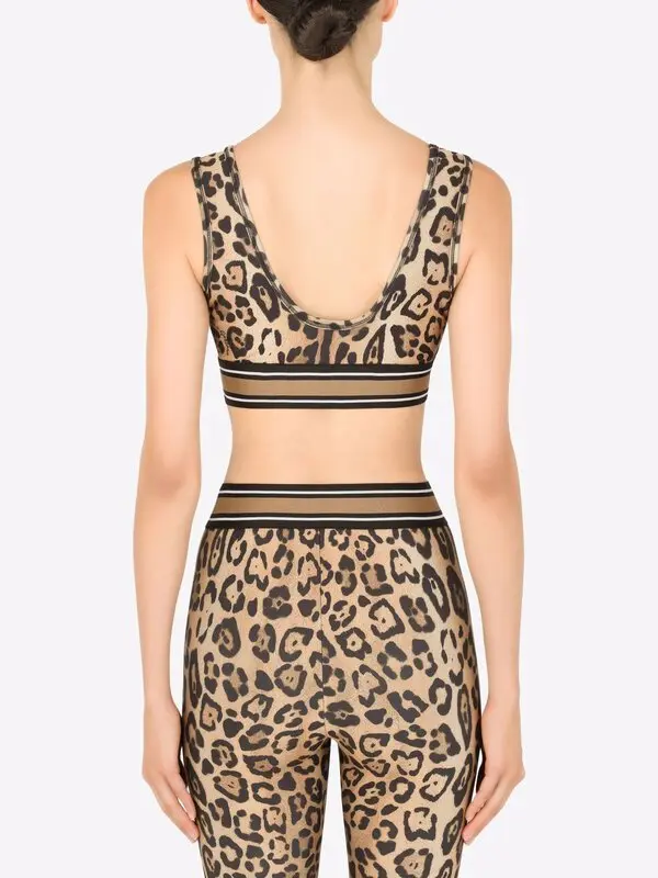 Dolce & Gabbana Leopard-print Crop Top