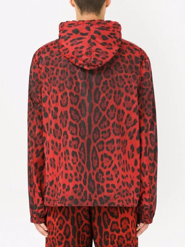 Dolce & Gabbana Leopard-print Hooded Jacket