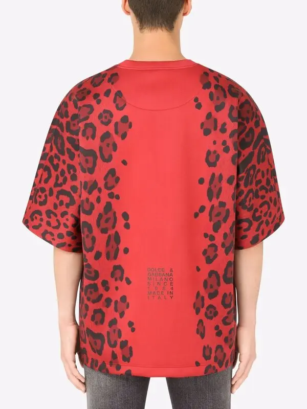 Dolce & Gabbana Leopard-print Dg Oversized T-shirt