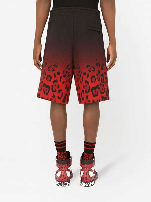 Dolce & Gabbana Gradient Leopard-print Track Shorts