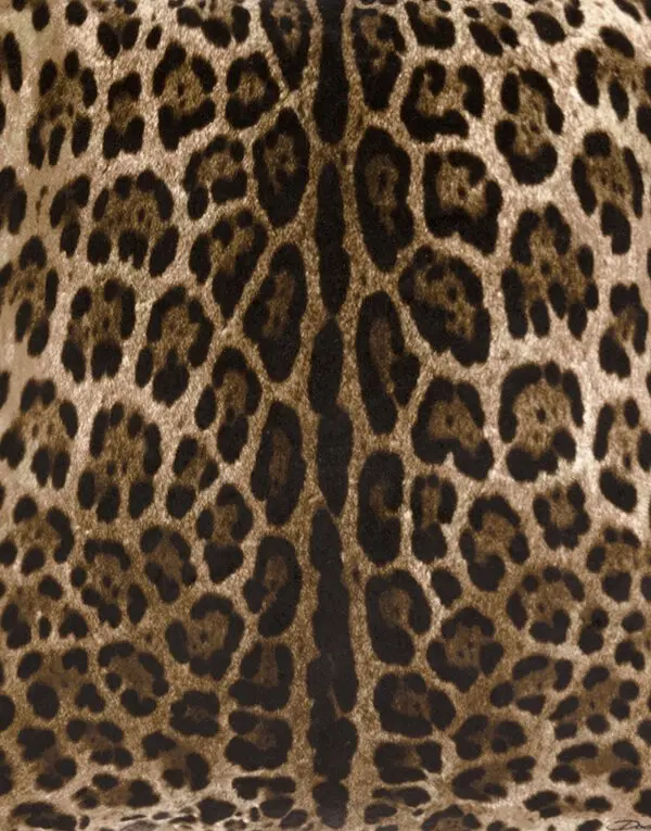 Dolce & Gabbana Velvet Cushion Medium