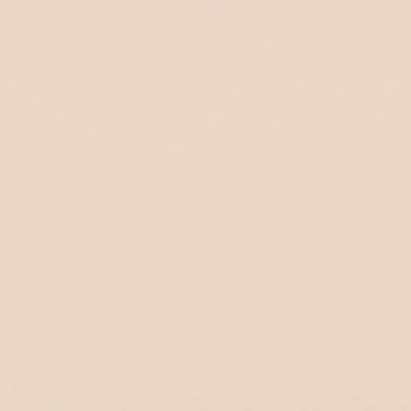 ANASTASIA BEVERLY HILLS Magic Touch Concealer - Neutral