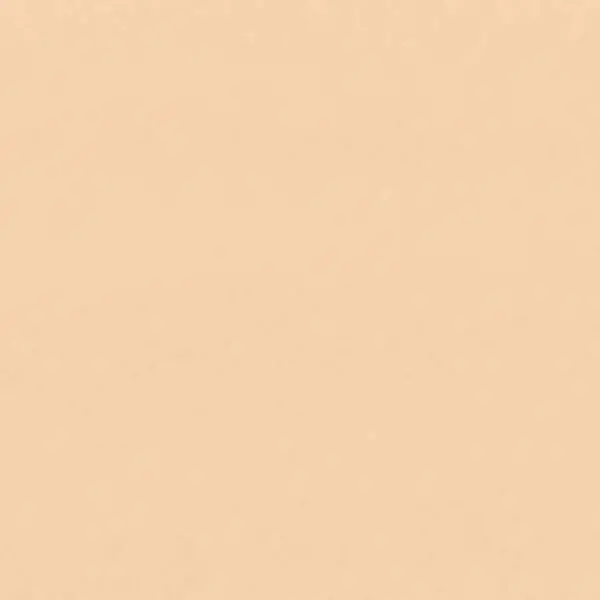 ANASTASIA BEVERLY HILLS Magic Touch Concealer - Neutral