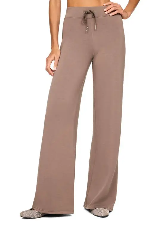 Spanx Airessentials Wide Leg Pants - Ironstone