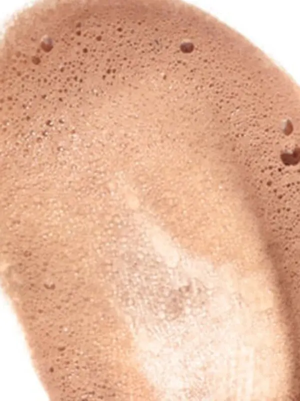 Elizabeth Arden Flawless Finish Mousse Makeup