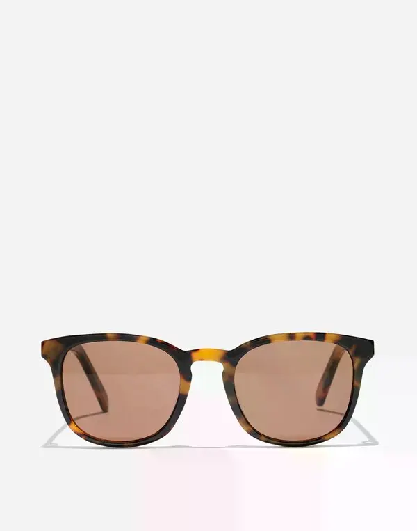 Madewell Ashcroft Sunglasses - Perfect Tort Multi