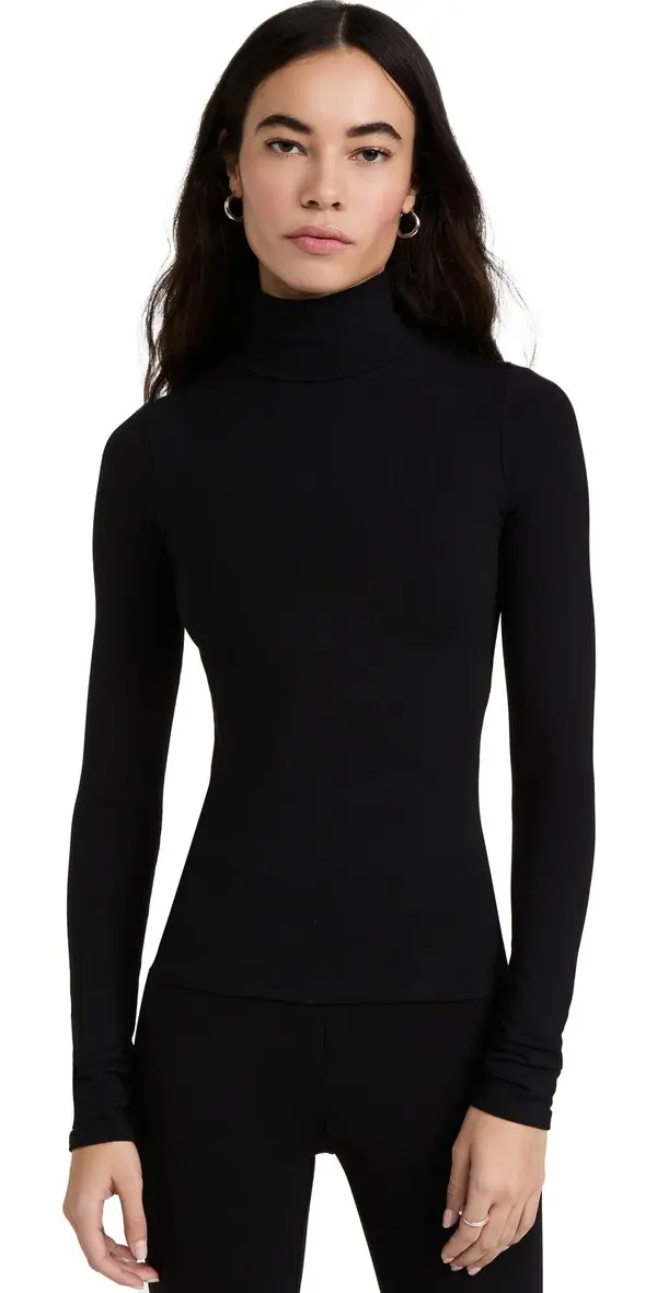 Sprwmn Long Sleeve Turtleneck Top