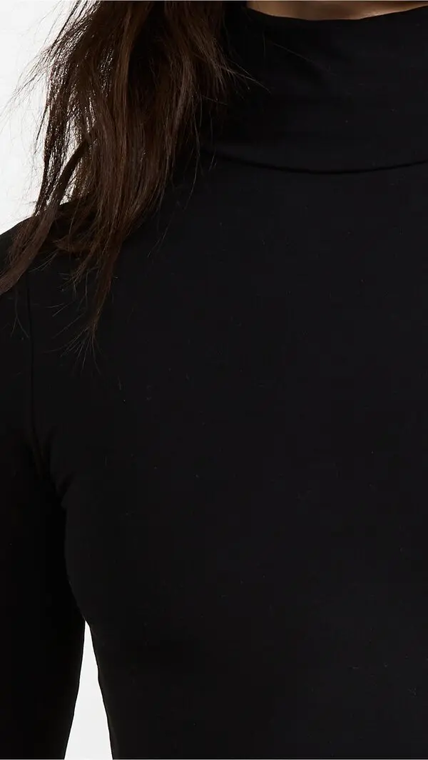 Sprwmn Long Sleeve Turtleneck Top