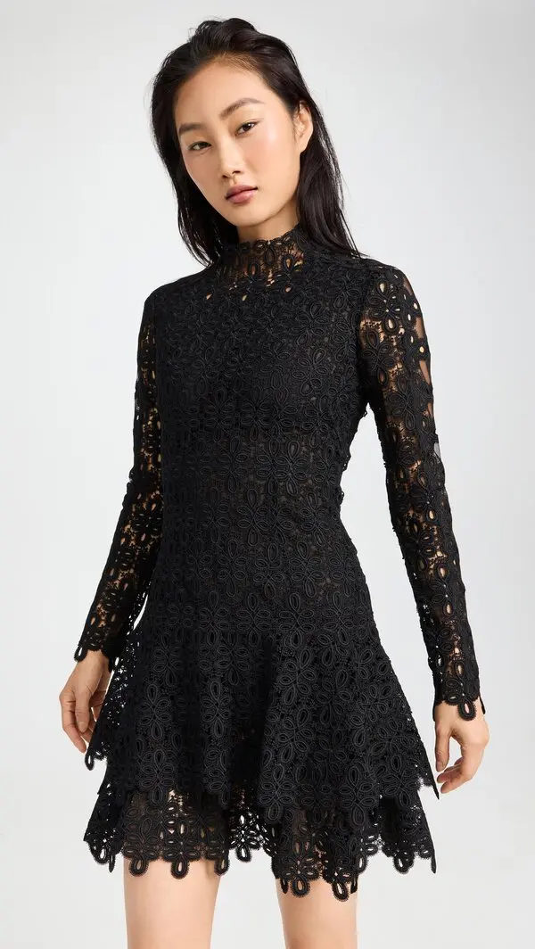Simkhai Lace Embroidered Mini Dress - Black | Editorialist