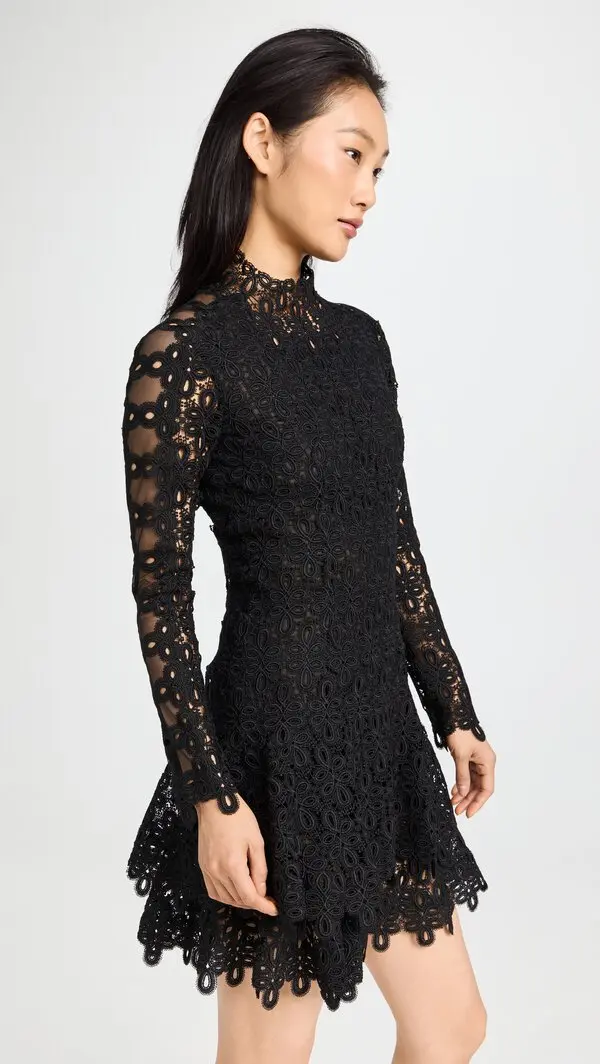Simkhai Joy Lace Mini Dress