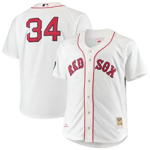 Mitchell & Ness David Ortiz Boston Red Sox Authentic Player Jersey